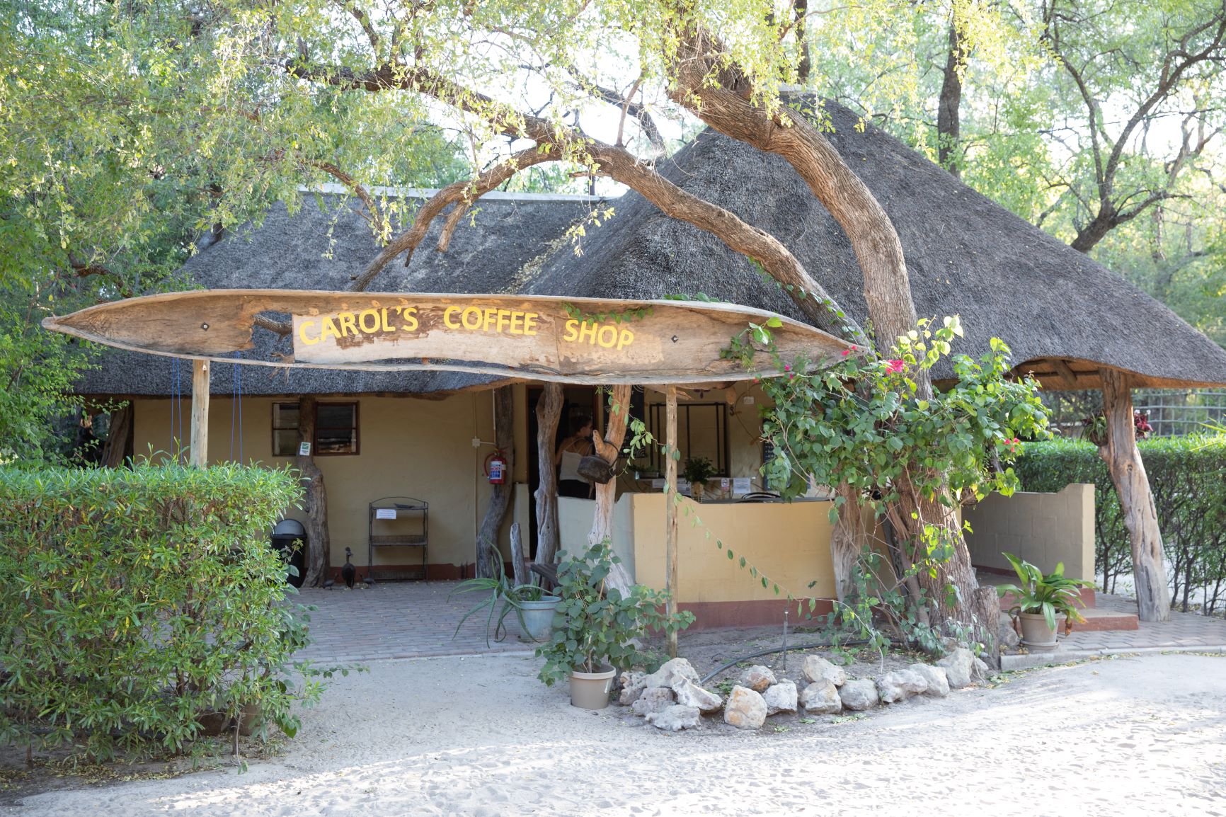 Discovery B&B - Explore Maun