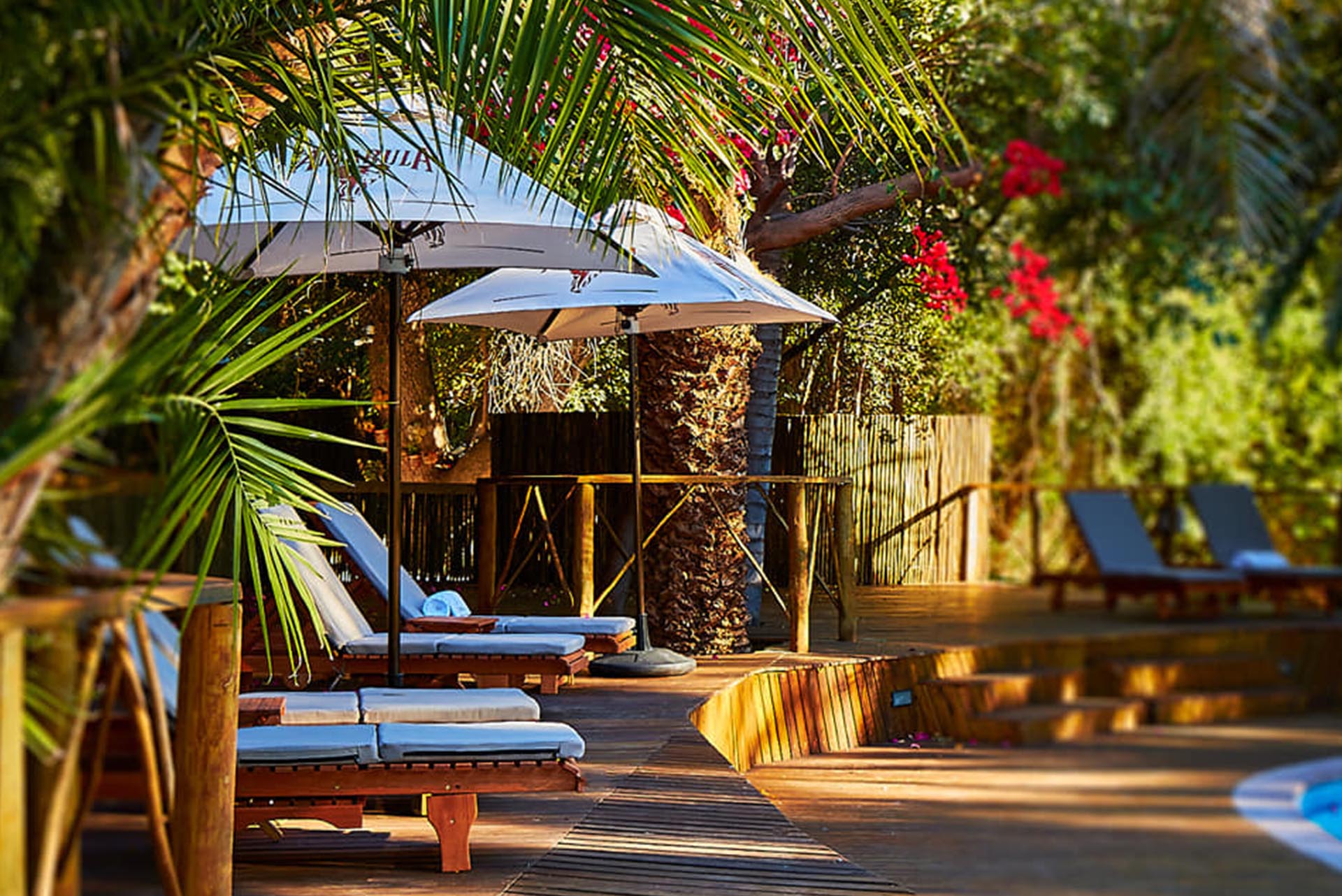 Crocodile Camp - Explore Maun