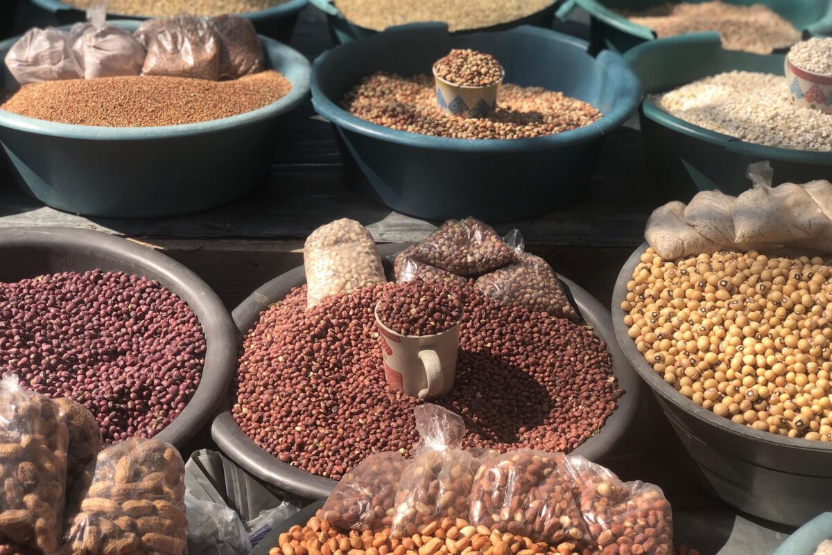 Maun Town Tour - Explore Maun